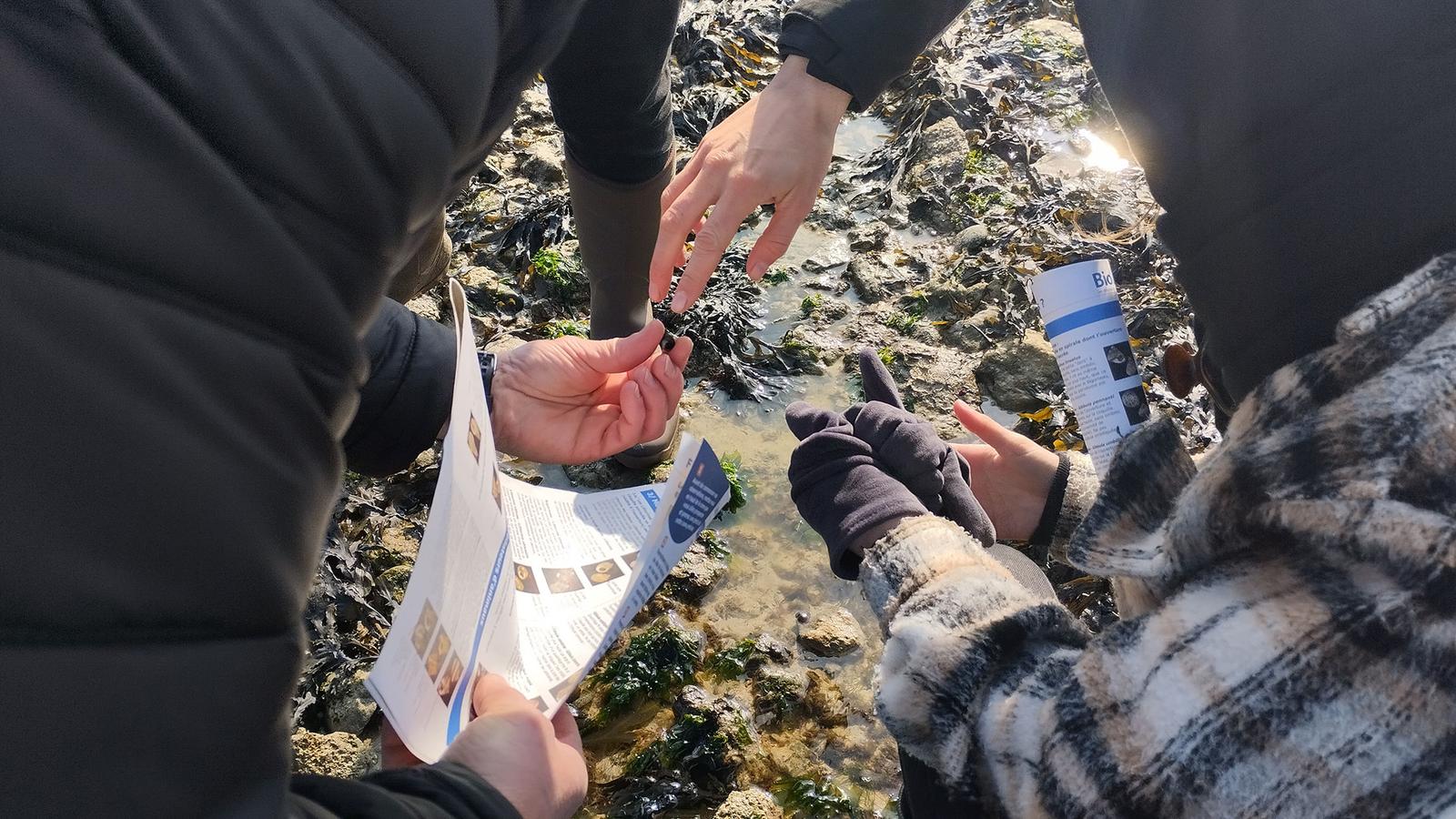 Journée BioLit, Résultats scientifiques et évolutions du programme - Biolit