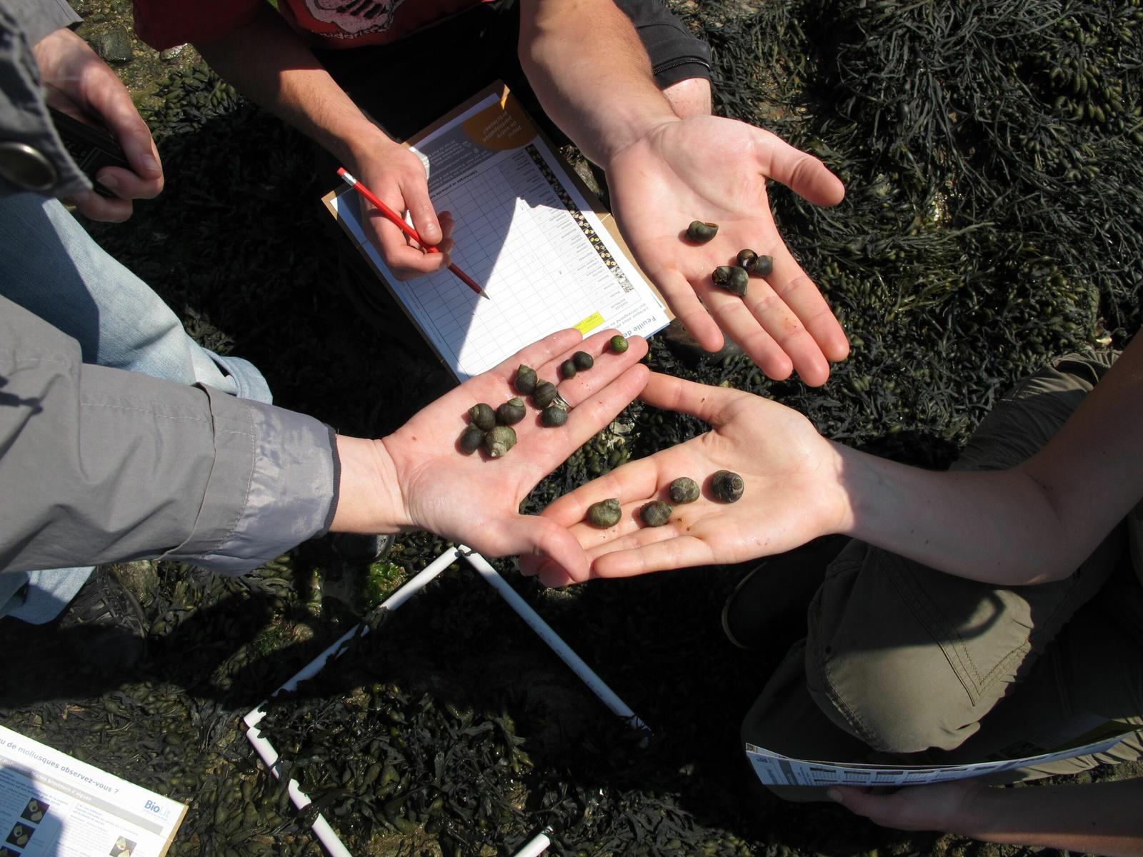 Publication d’un nouvel article sociologique sur BioLit - Biolit