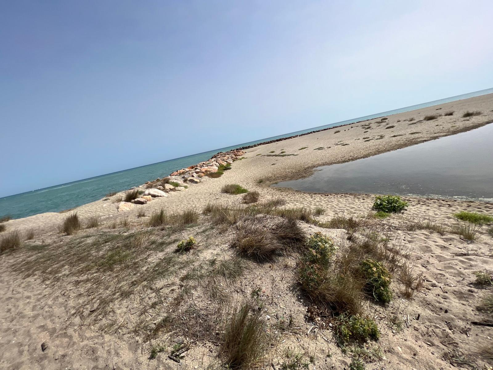 Observation #63576 - Biolit